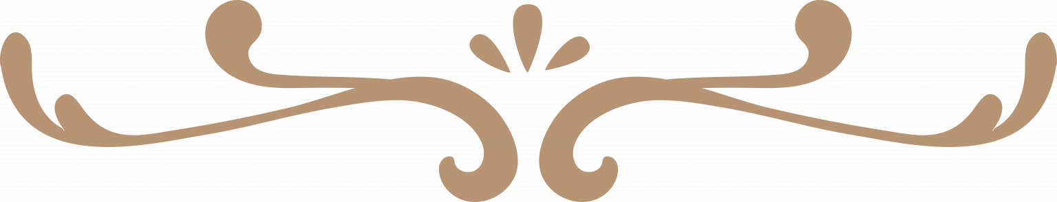 Our History – Moonan Pub